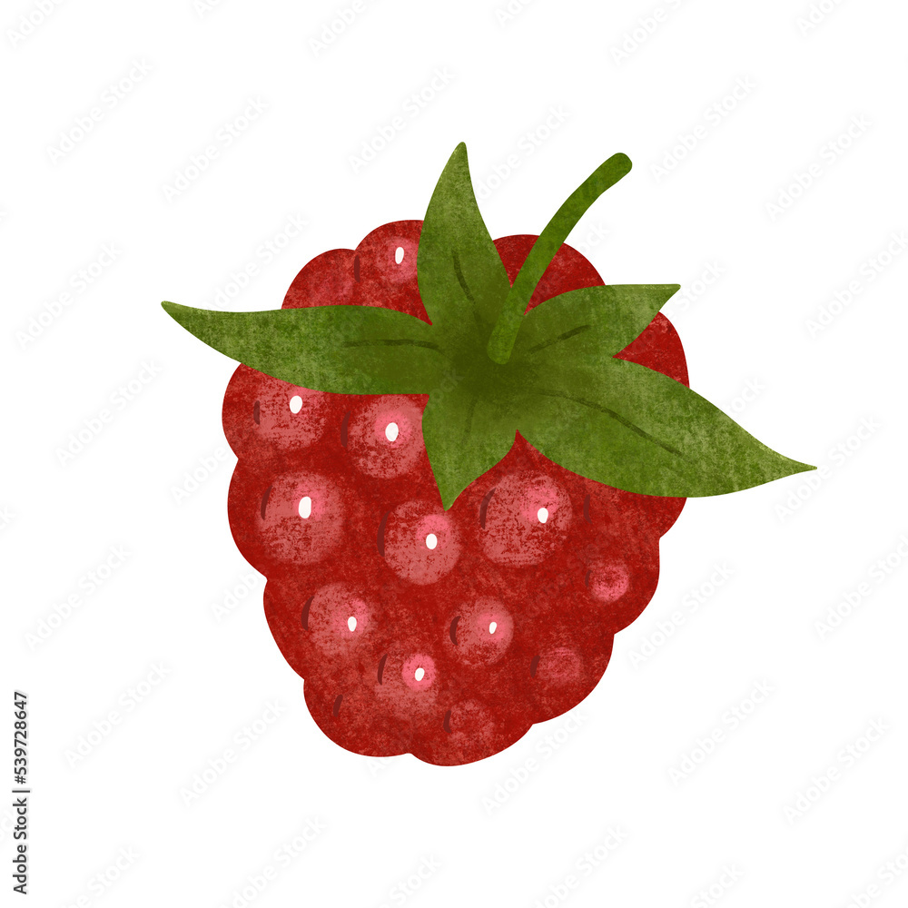 Raspberry with leaf isolated with no background. Cartoon style red ...