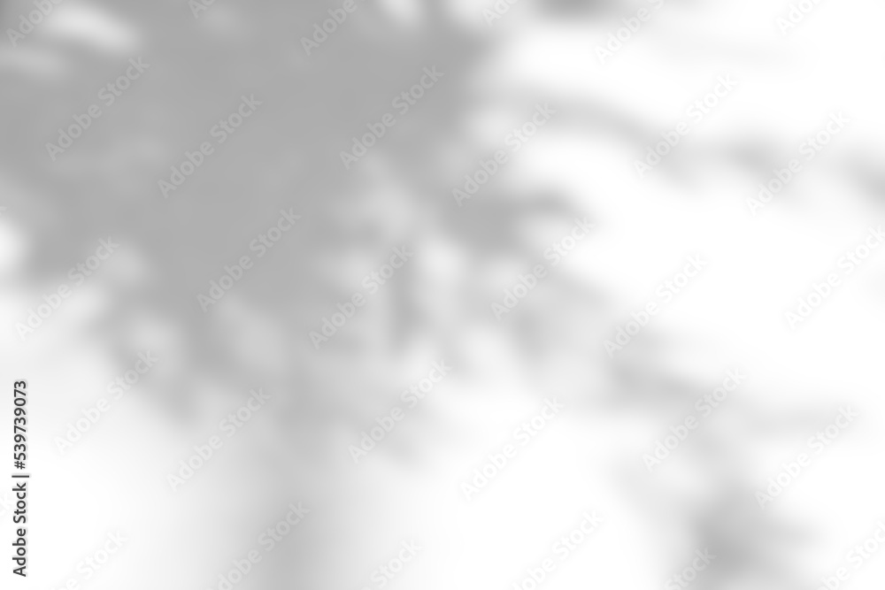 Shadow overlay effect on white background. Abstract sunlight background ...