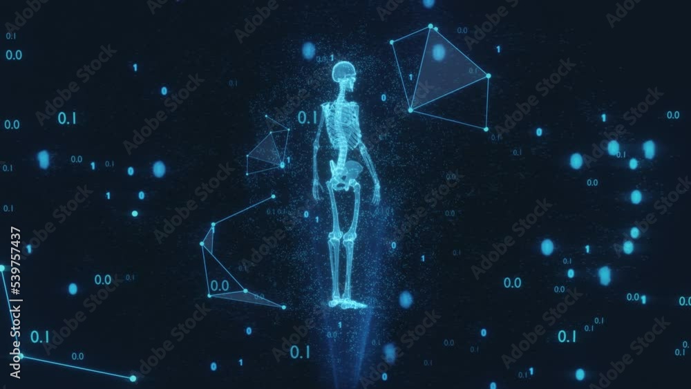 Concept digital humanity. Data skeleton people. Human holograms from ...