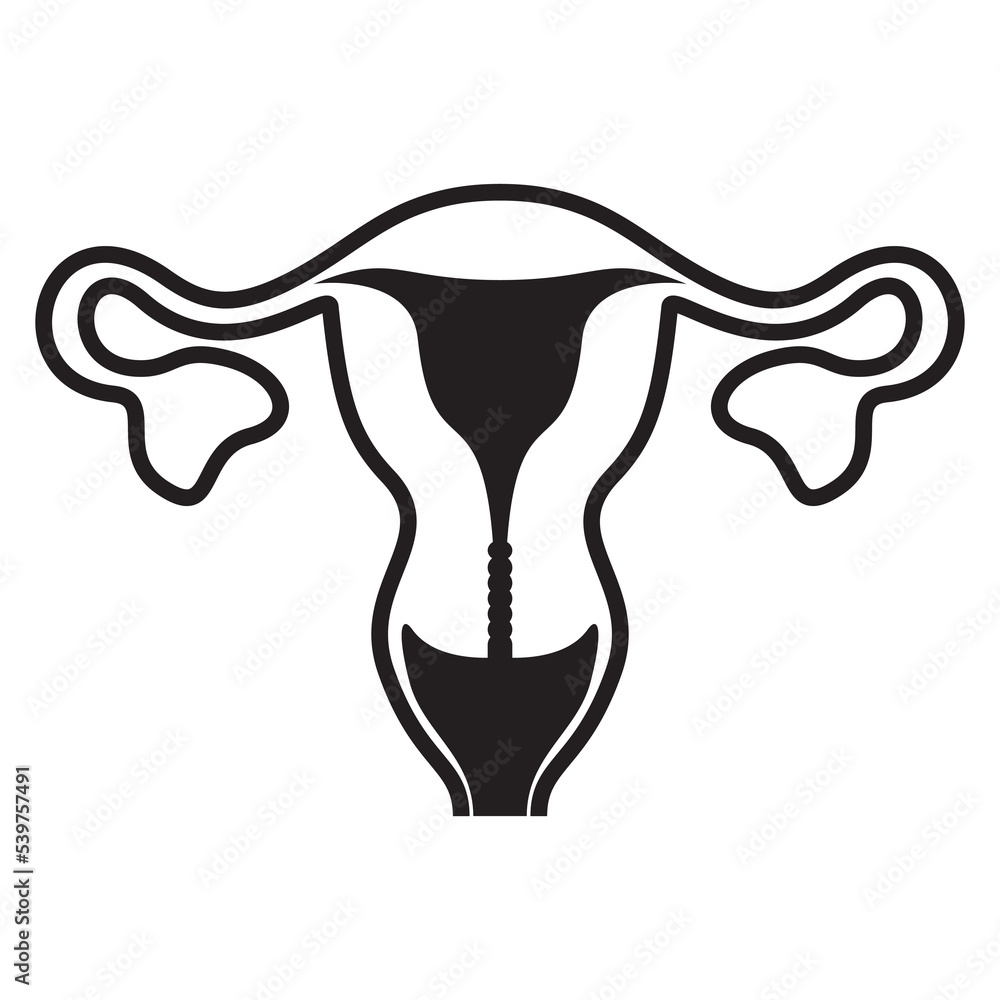 Female Reproductive Organ Icon Reproductive System Anatomy Vector