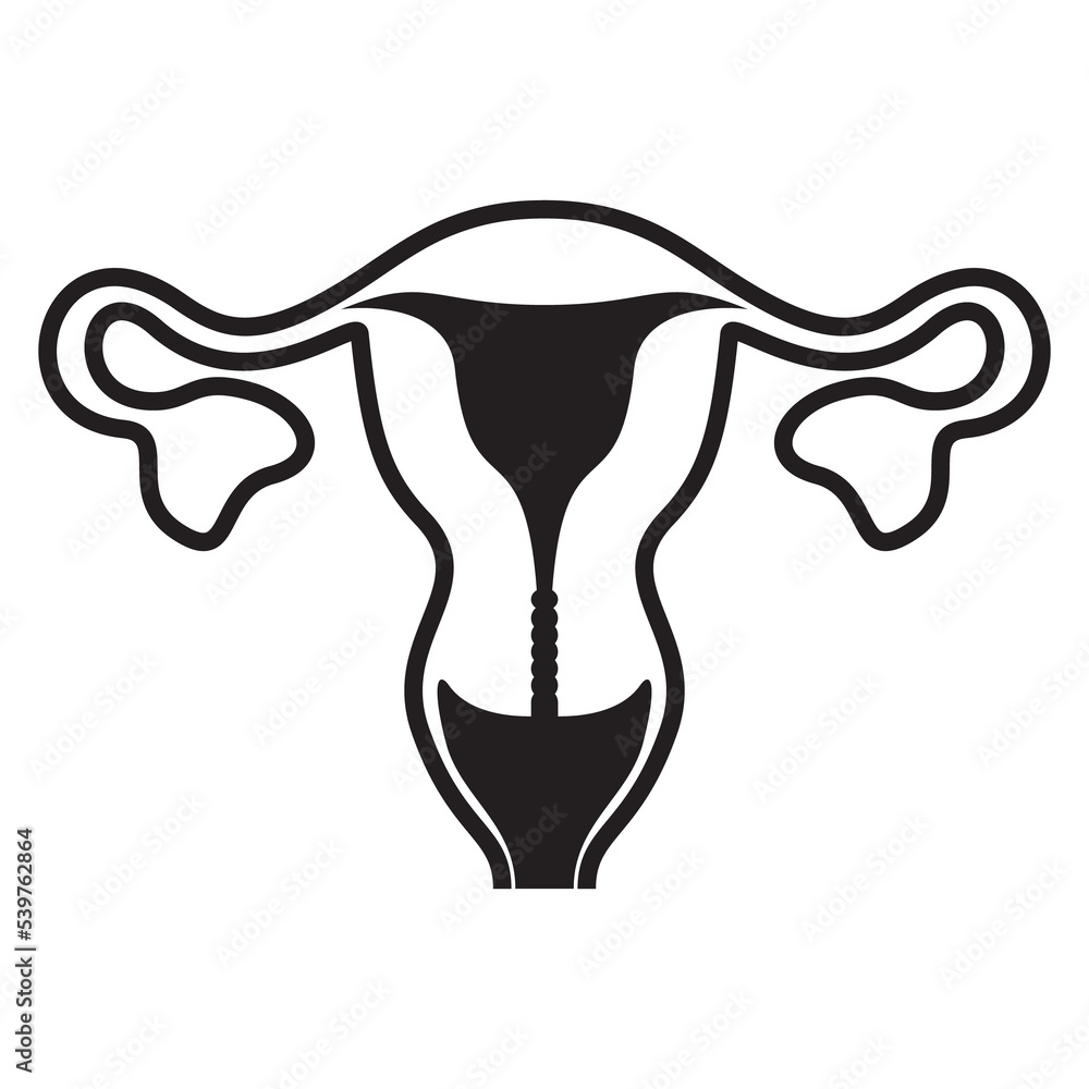 Female reproductive organ icon. Reproductive system anatomy ...