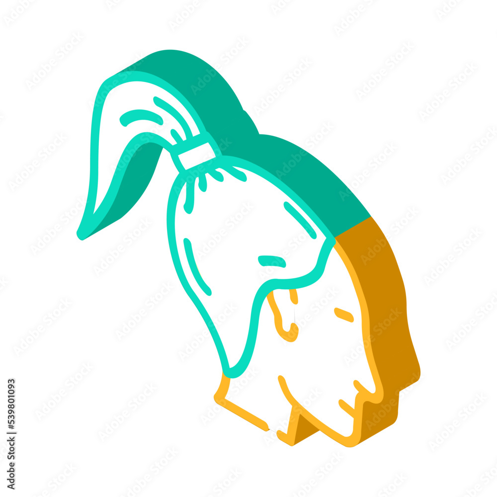 ponytail hairstyle female isometric icon vector. ponytail hairstyle ...