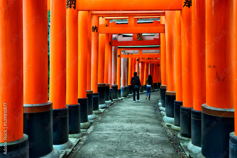 Fushimi Ward, Kyoto, Kansai, Japan, Asia, Torii gates path, Fushimi ...
