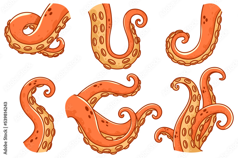 Octopus tentacles vector cartoon set isolated on a white background ...