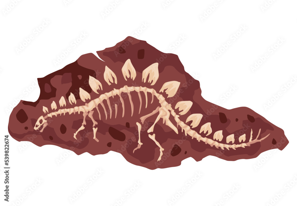 Dinosaur skeleton bone, fossil excavation of archeology isolated ...
