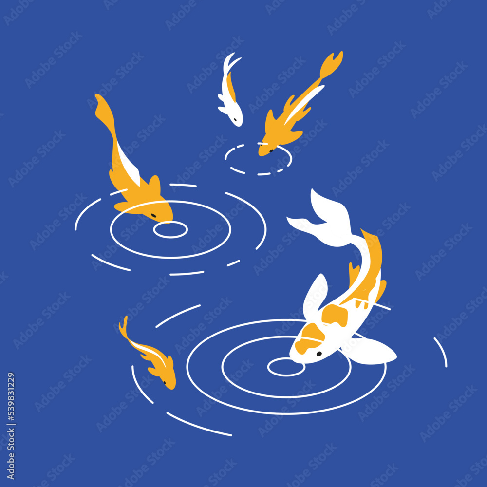 Japanese koi fish in pond. Hand drawn modern style vector illustration ...