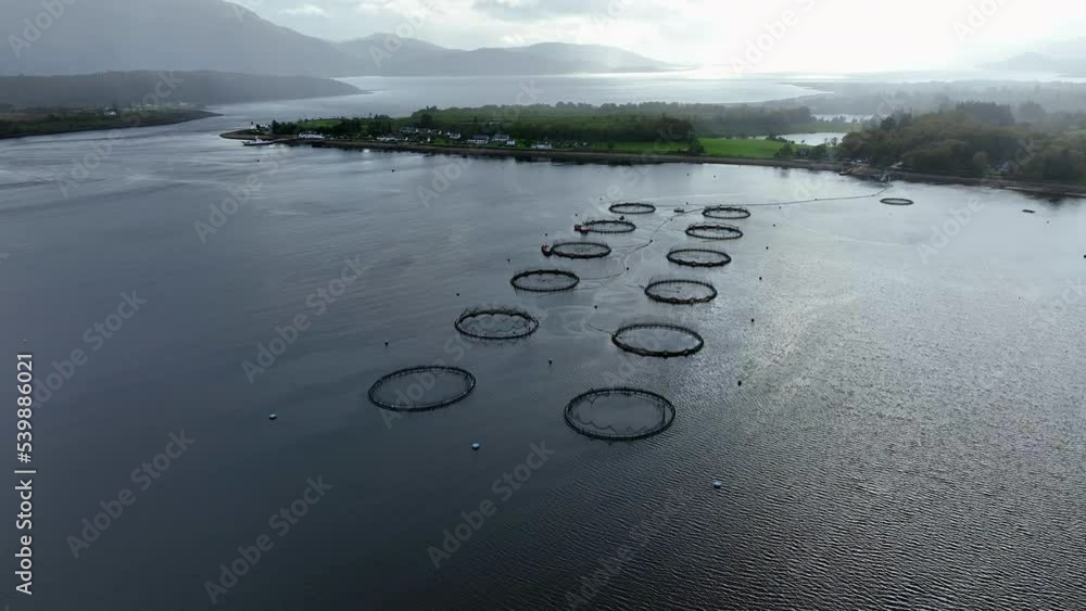 Sea Farm Aquaculture Nets Used for Intensive Fish Farming Stock-Video ...