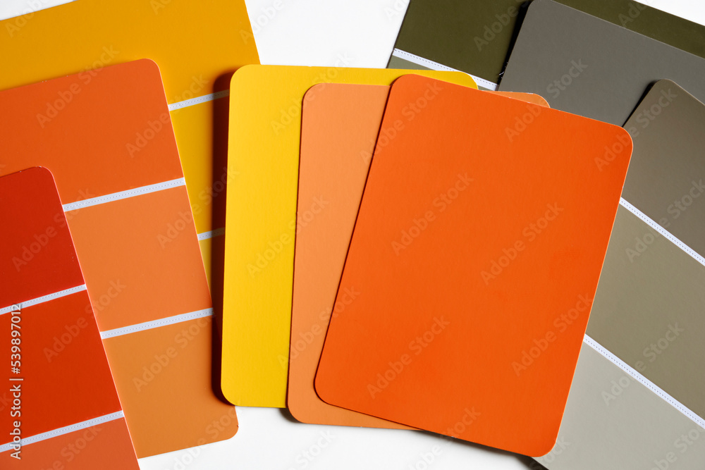 Color sample swatches scattered on a table. Swatches are in autumnal ...
