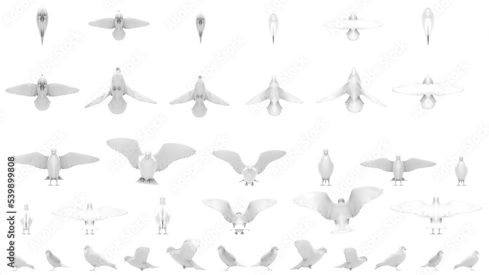 3D High Poly Birds - SET1 Monochromatic - Parallel Views Stock ...