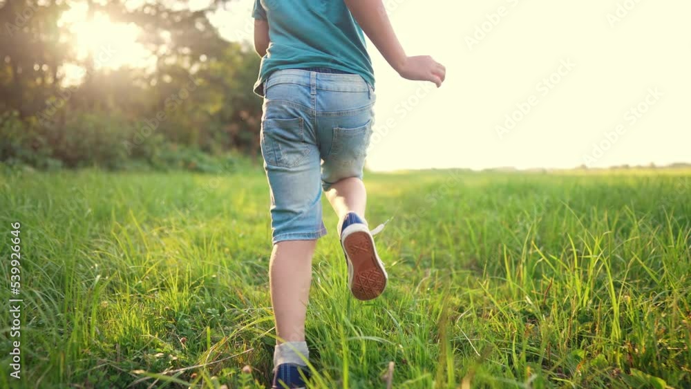 happy family. kid runs legs close-up in the park at sunset. people in ...