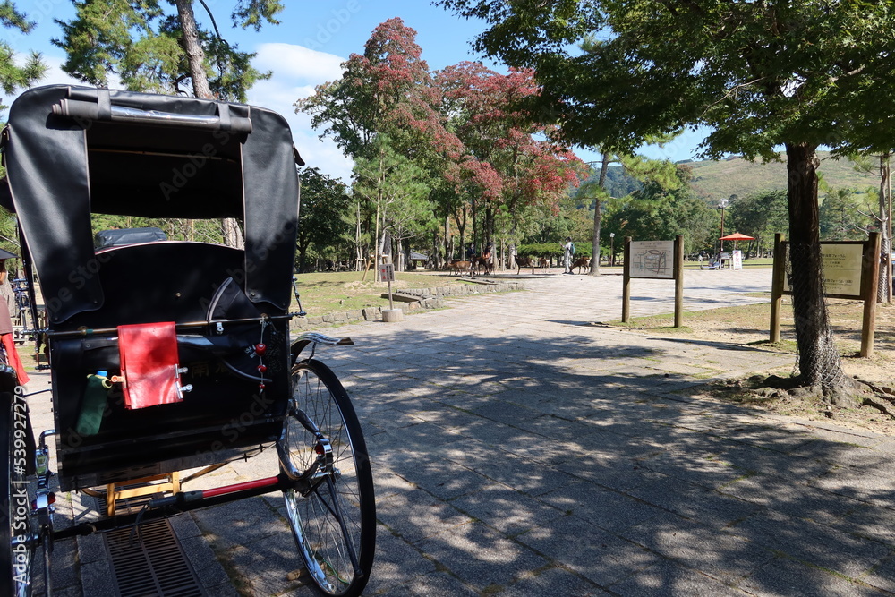 A Japanese park : a scene of the entrance to the access to the ...