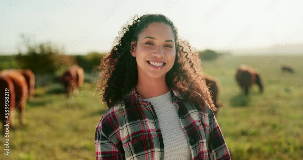 Cow, happy and woman farmer on a cattle farm harvesting organic cows ...