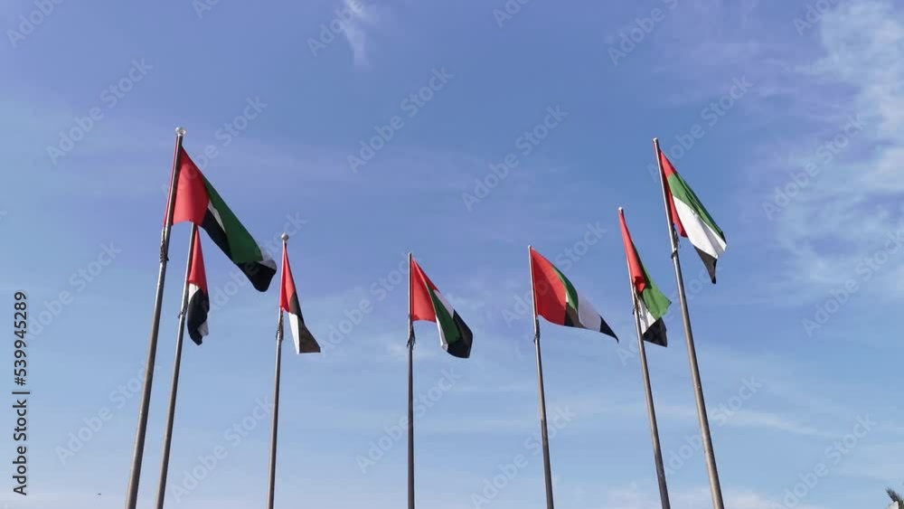 Vidéo Stock National symbol of United Arab Emirates flags in blue sky ...