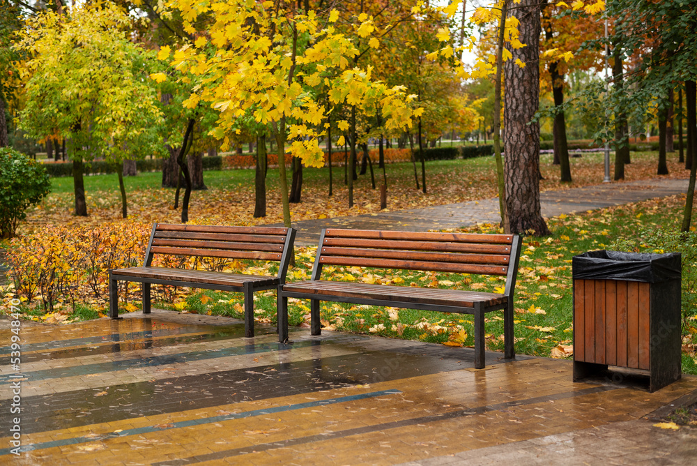 rainy autumn and rainy day. benches in the park. colorful leaves fly ...
