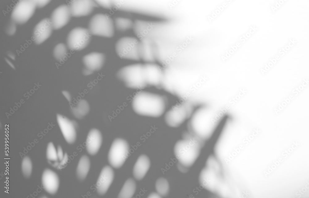 Abstract leaves natural shadow overlay on white texture background, for ...