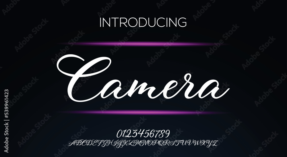 CAMERA Signature Font Calligraphy Logotype Script Brush Font Type Font ...