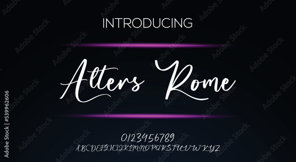 ALTERS ROME Signature Font Calligraphy Logotype Script Brush Font Type ...