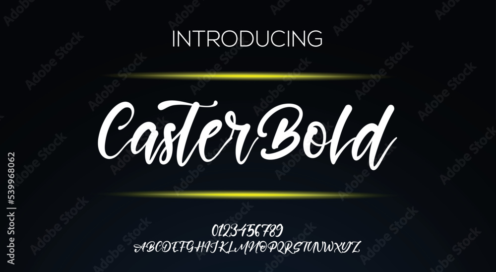 CASTER BOLD Signature Font Calligraphy Logotype Script Font Type Font ...
