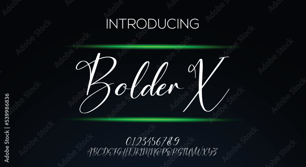 BOLDER X Signature Font Calligraphy Logotype Script Brush Font Type ...