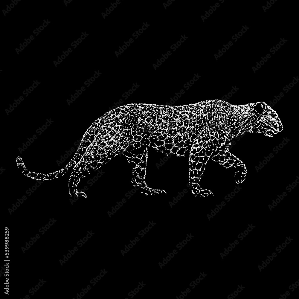 Leopard hand drawing. Vector illustration isolated on black background ...