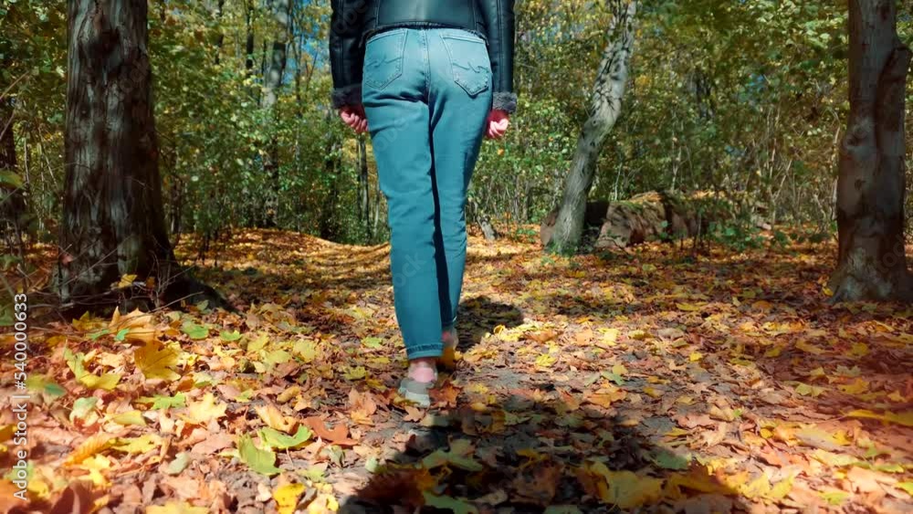 Woman Legs Walking On Fallen Leaves. Stylish Woman Legs In Leather ...