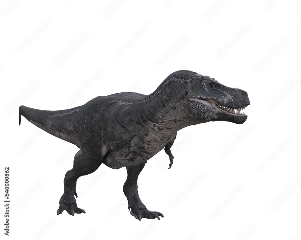 Tyrannosaurus Rex standing, seen from side view. 3D illustration ...