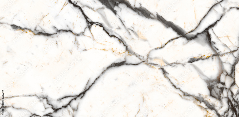 White Crystal satvario marble texture background with black-gold curly ...