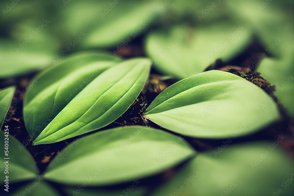 Macro Photography of a freen plant leaf with structure, detail and ...