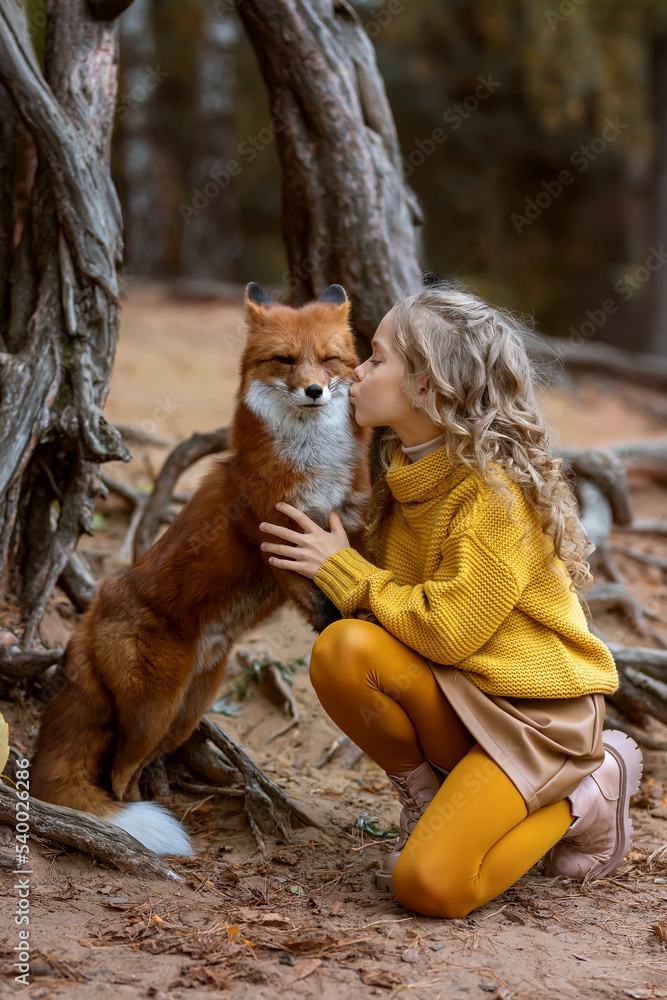 Little beautiful girl with a fox in the autumn forest. Friendship of a ...