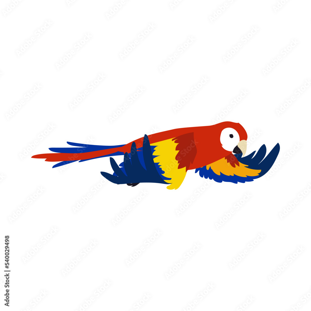 Red tropical parrot spreading wings vector illustration. Bird flapping ...