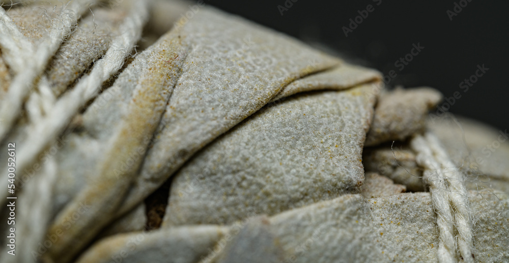 white sage smudging bundle detail Stock 写真 | Adobe Stock