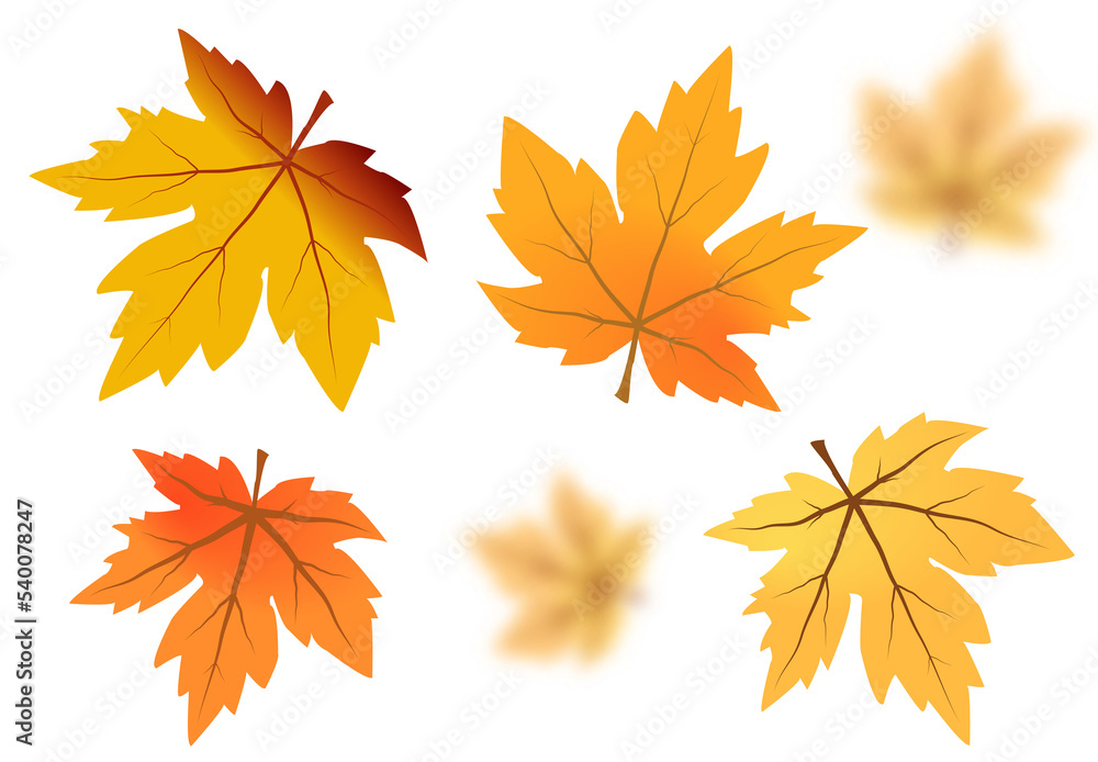 Autumn maple leaves PNG. on isolated transparent background. Abstract ...
