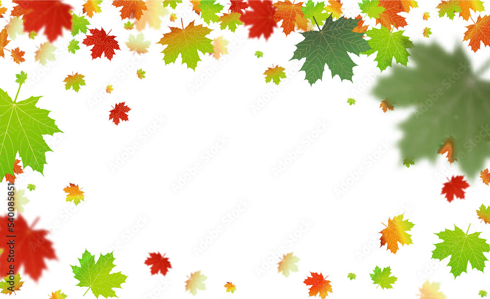 Autumn foliage PNG. on isolated transparent background. Abstract ...
