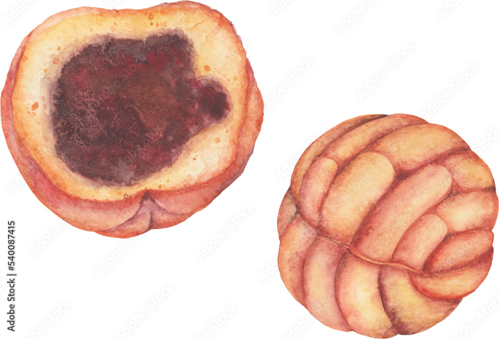 Transparent Background Korean Walnut Pastry Illustration Png ...