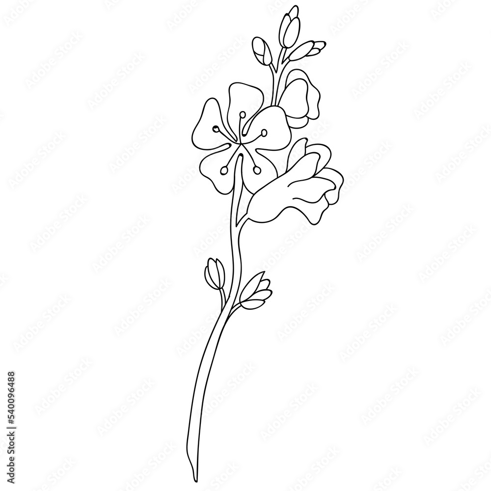 Abstract flat outline art flower illustration. Continous line flower ...