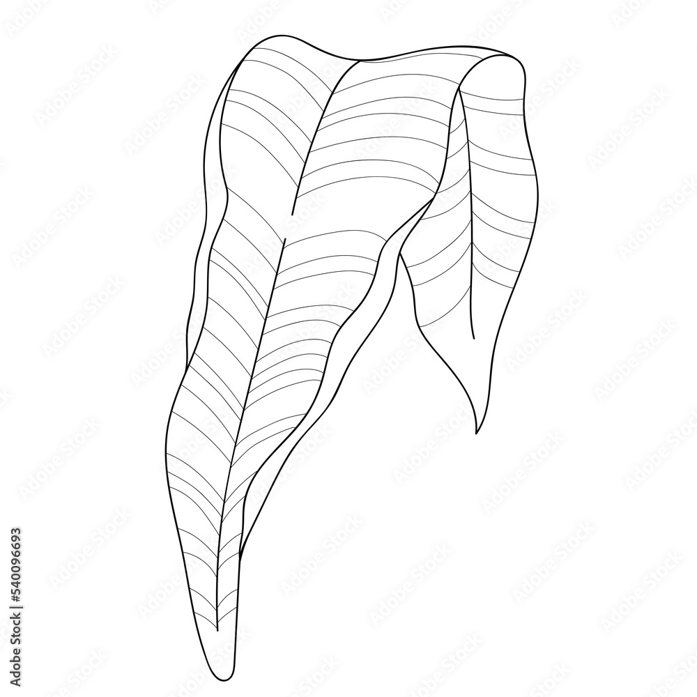Abstract flat outline art leaf flower illustration. Continous line ...
