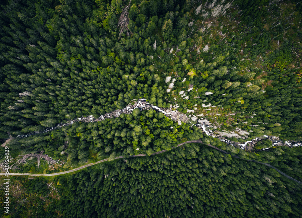 Aerial photo of green forest with curved mountain river by drone from ...