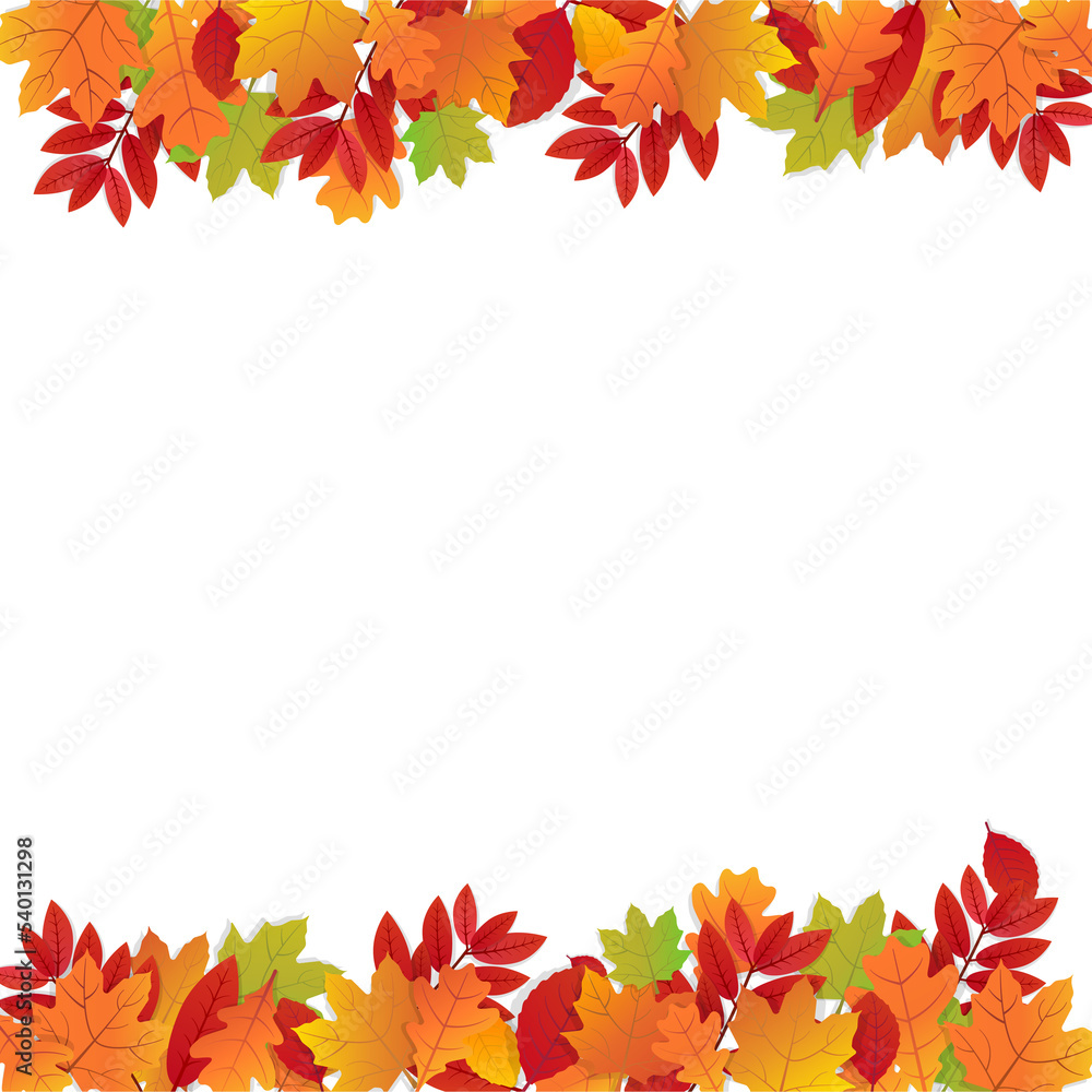 Autumn leaves on transparent background. Autumn frame in png ...