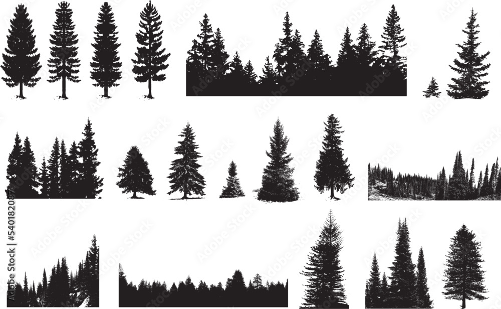 Pine Tree Vector silhouette Black Outline Stock Vector | Adobe Stock