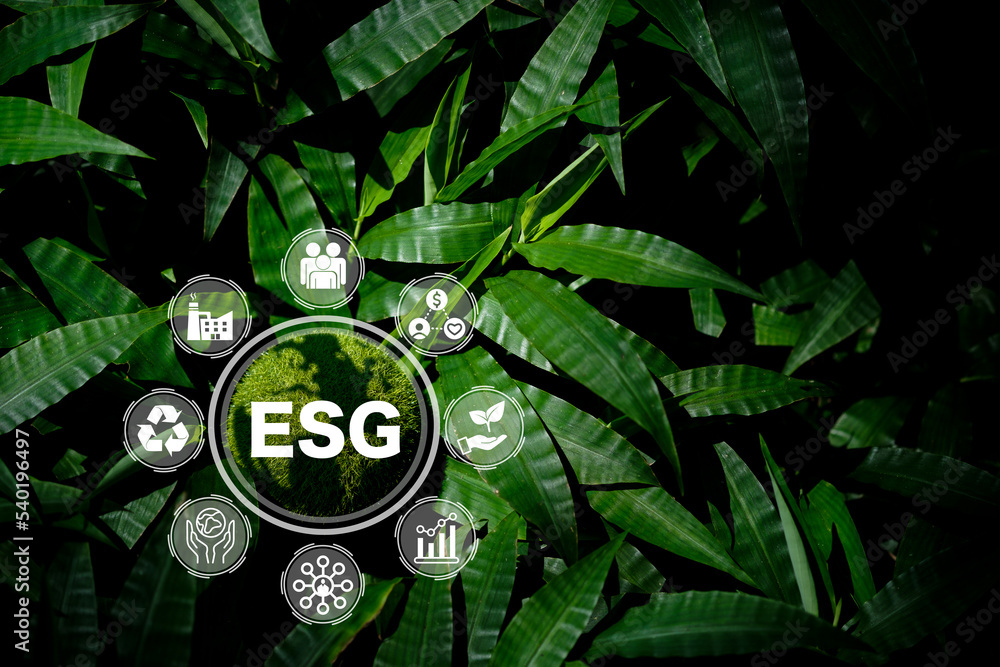 Green ball that writes the word ESG with ESG icon concept for ...