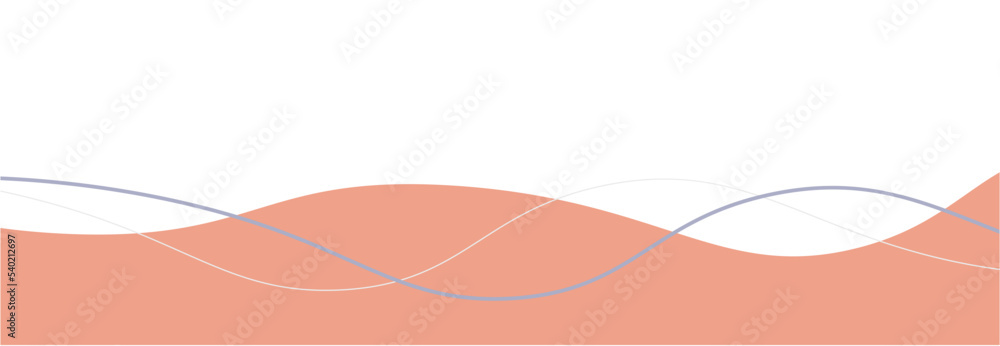 Aesthetic Wave Border Vector Illustration Stock Vector | Adobe Stock