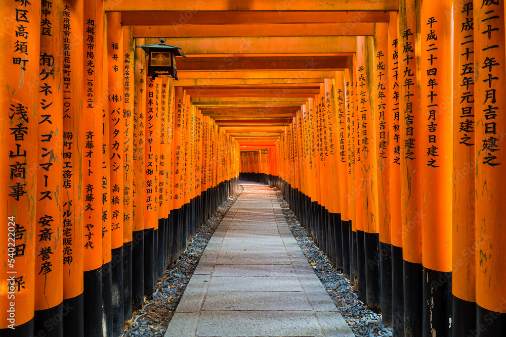 Tempio di Fushimi Inari a Kyoto Stock Photo | Adobe Stock