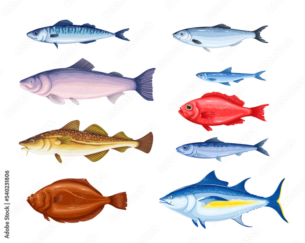 Types Of Ocean Fish