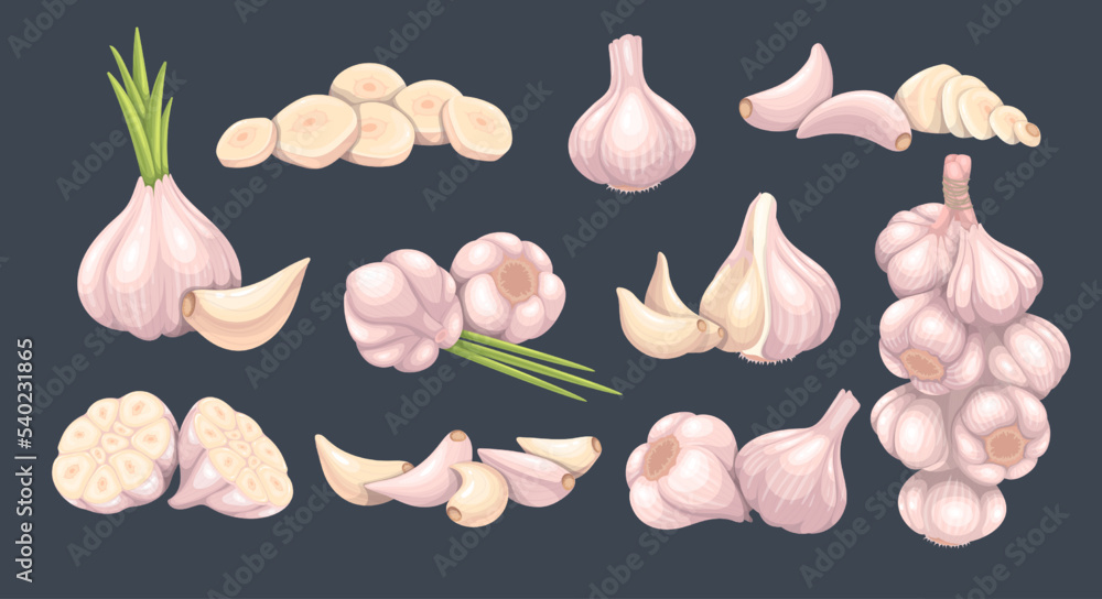 Garlic Clove Cartoon