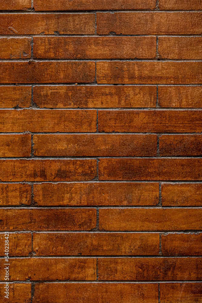 Fondo y textura de pared ladrillos foto de Stock | Adobe Stock