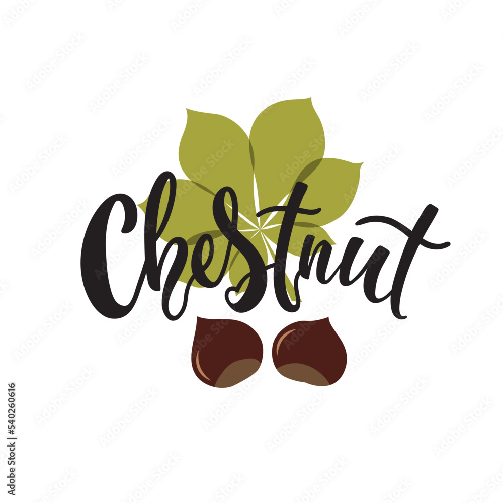 Hand drawn chestnut icon. Vector illustration with handwritten text for brochures, banner ...