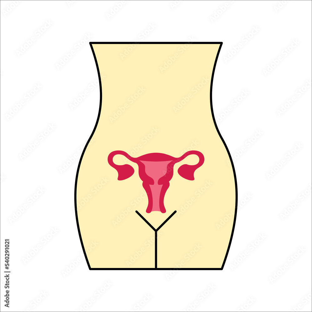Female Reproductive Organs Icon Uterus Sign Female Reproductive