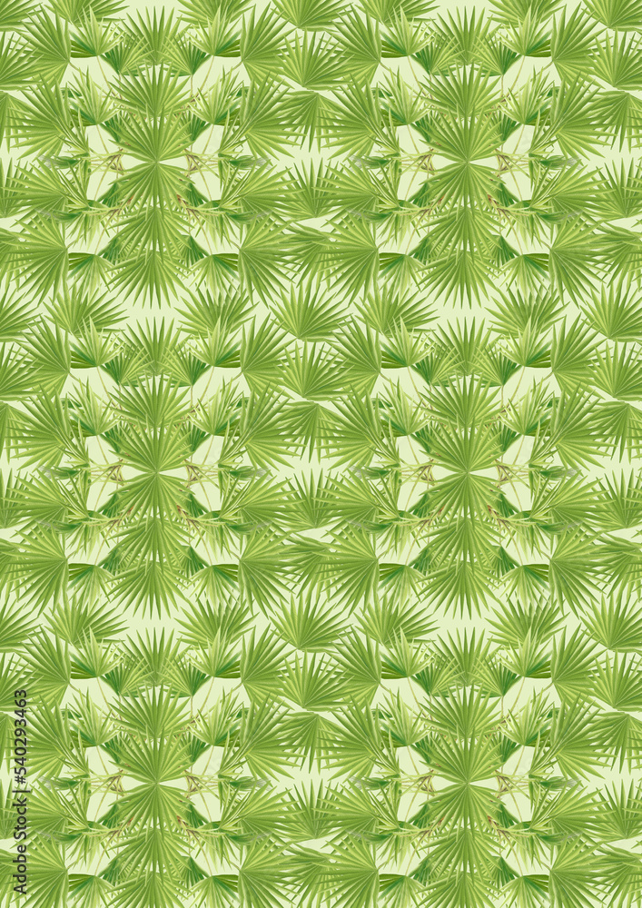 A4 Wallpaper Philippine flora Anahaw pattern Stock Illustration | Adobe ...