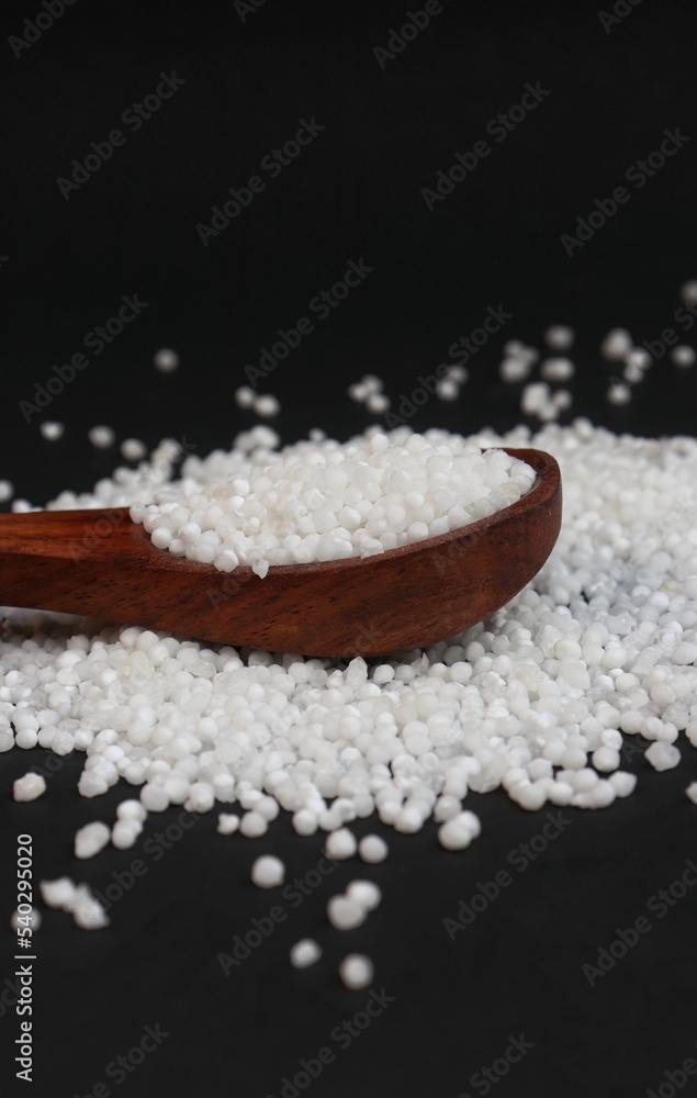Closeup of Sabudana or Sago Balls in a Wooden Spoon Isolated on Black ...
