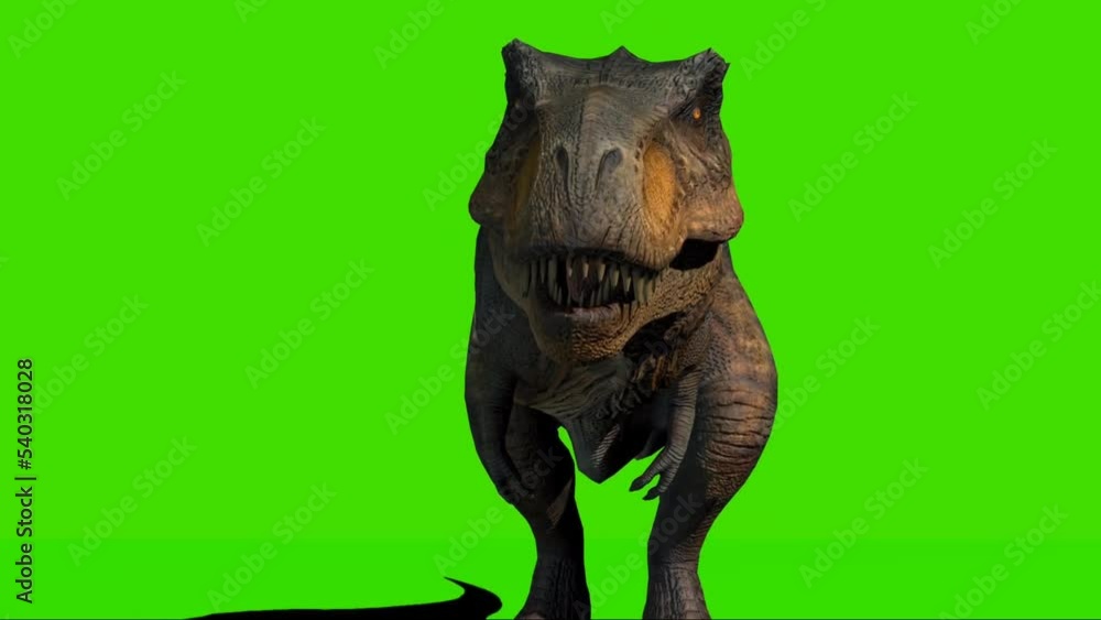 Tyrannosaurus rex Roaring on Green Screen Stock Video | Adobe Stock